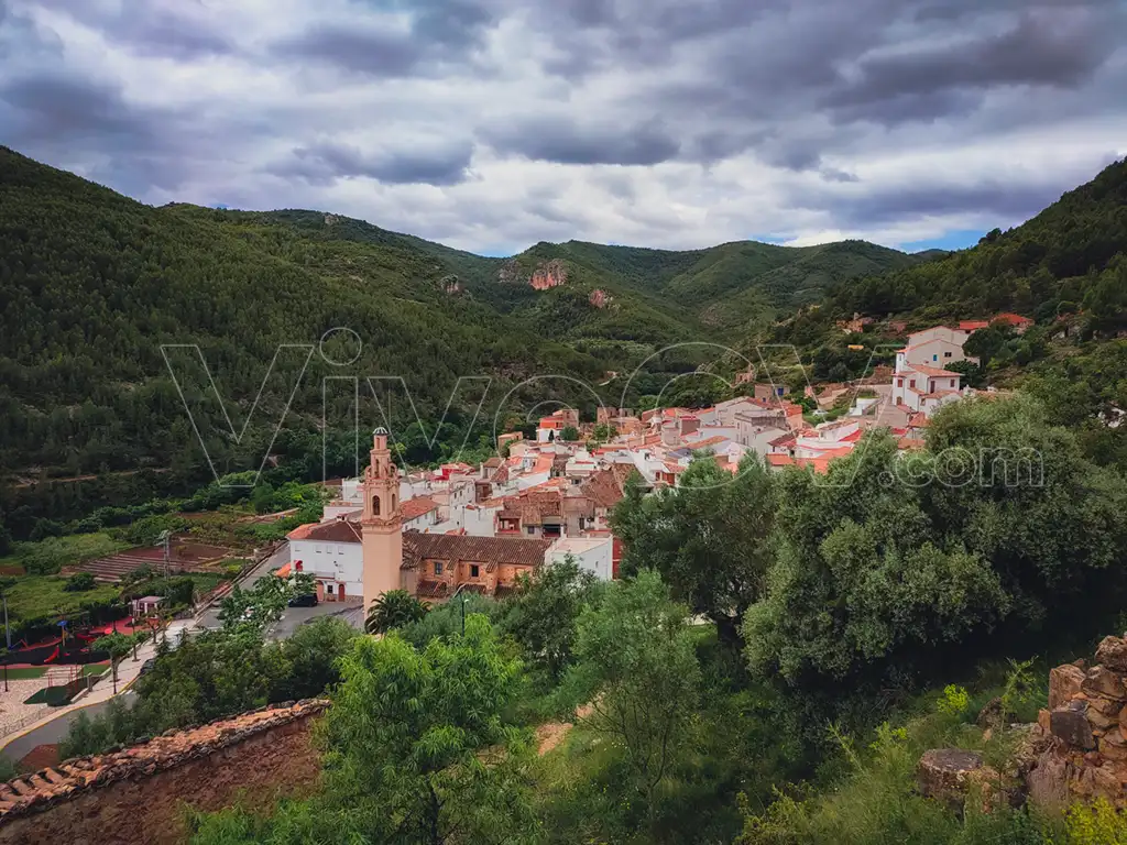 El Pozo Negro De Fuentes De Ay dar Castell n ViveCV El Pozo Negro De Fuentes De Ay dar Castell n ViveCV
